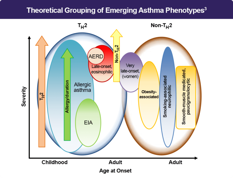 Pathophysiology – Asthma Clinician